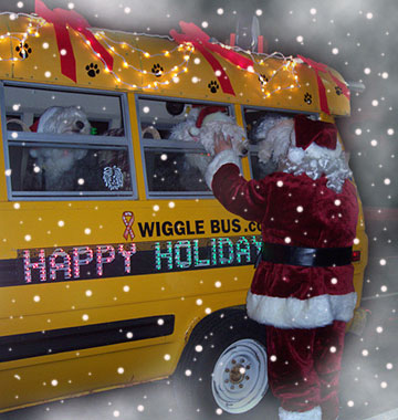 "In fact, I'm wondering if they really got lost, or if they wantedthose ...